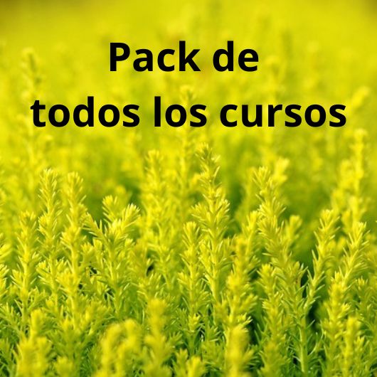 CursoTeca - danielgabarro.com